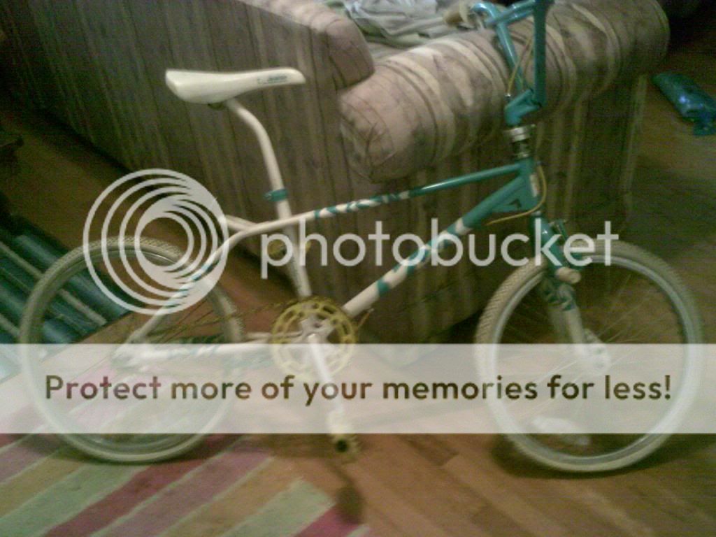 1987 raleigh shock? | Rat Rod Bikes Bicycle Forum