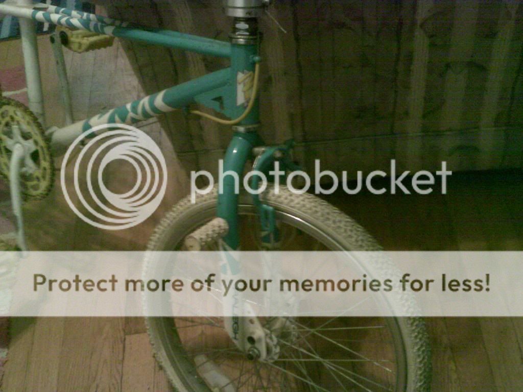 1987 raleigh shock? | Rat Rod Bikes Bicycle Forum