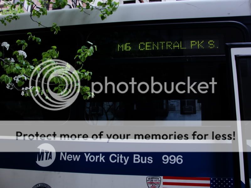 Whats Wrong With 996?... :) - Bus Photos & Videos - NYC Transit Forums